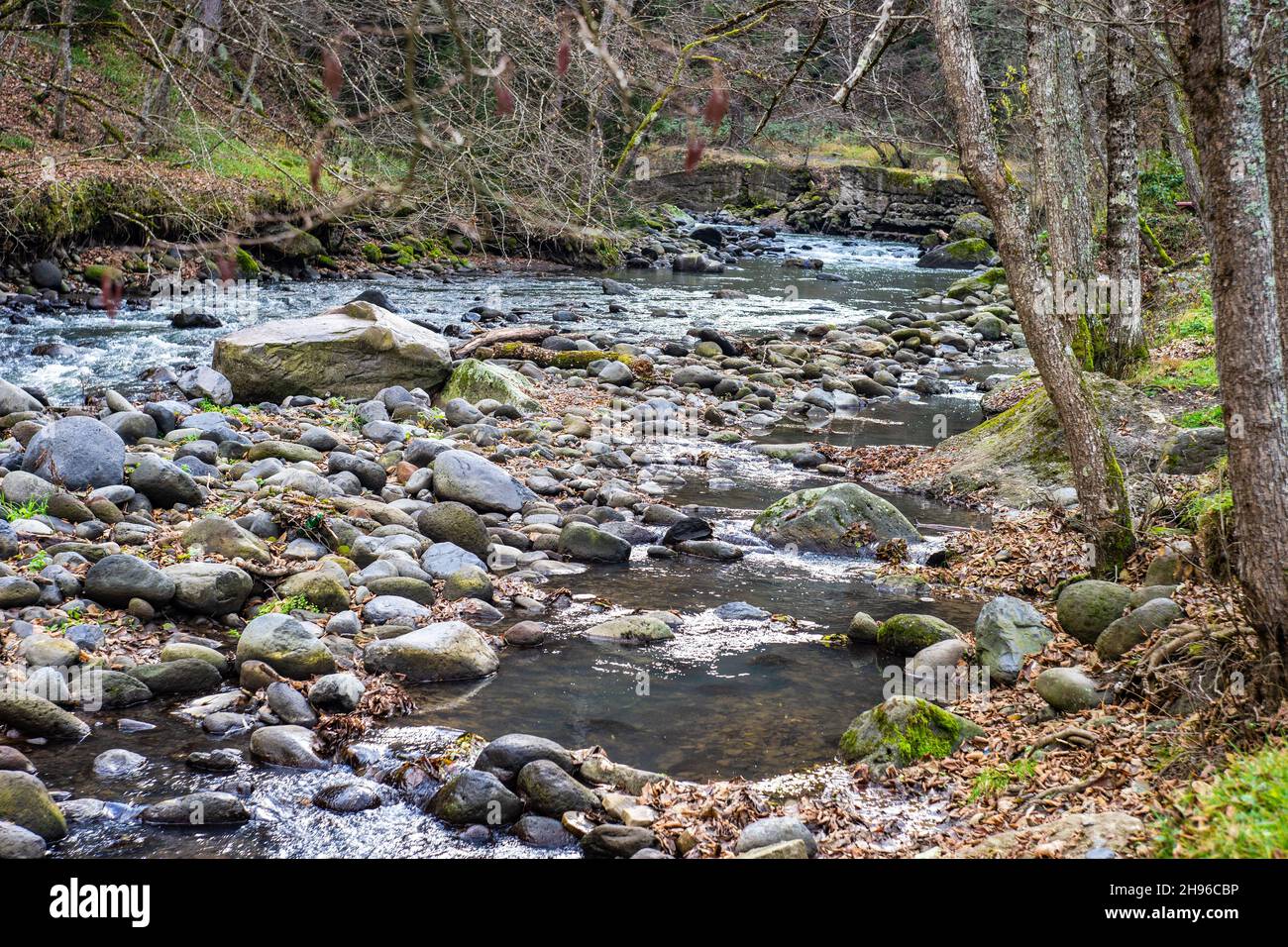 Famous park in city-resort with mineral water springs Borjomi in the ...