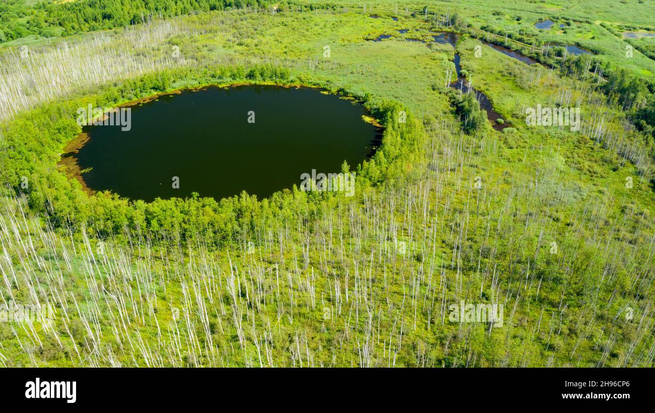 Aerial view of Bottomless Lake in forest of Solnechnogorsk District ...