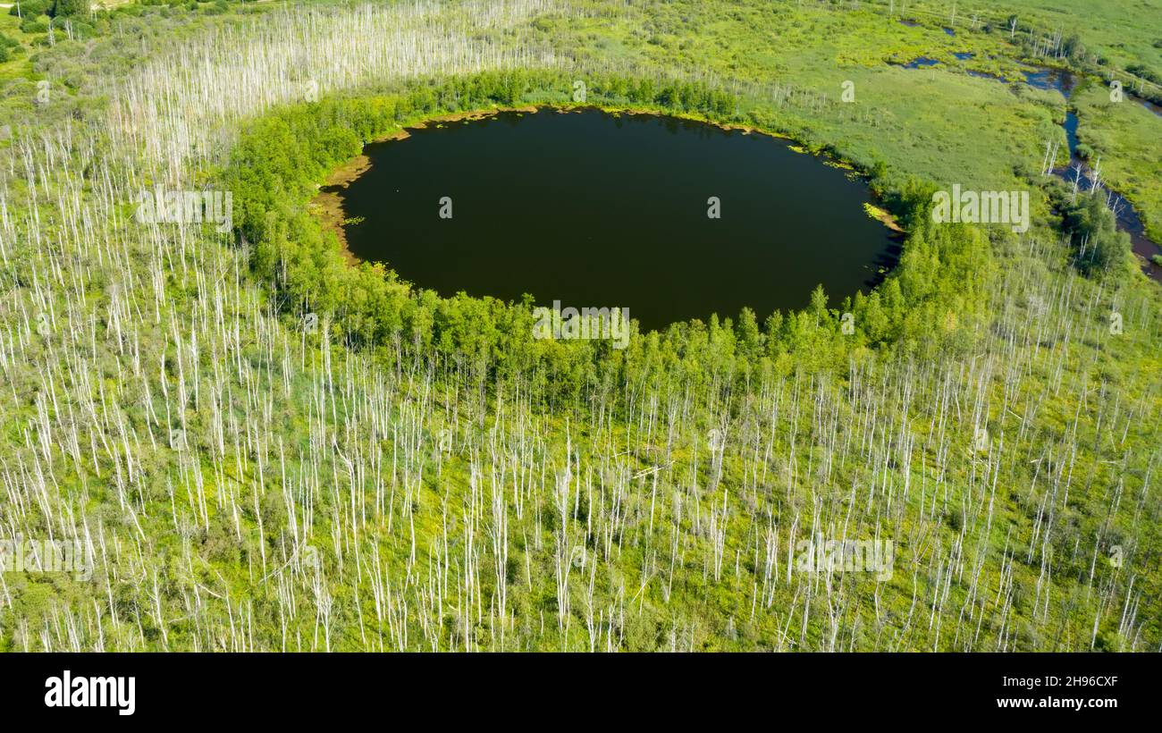 Aerial view of Bottomless Lake in forest of Solnechnogorsk District ...