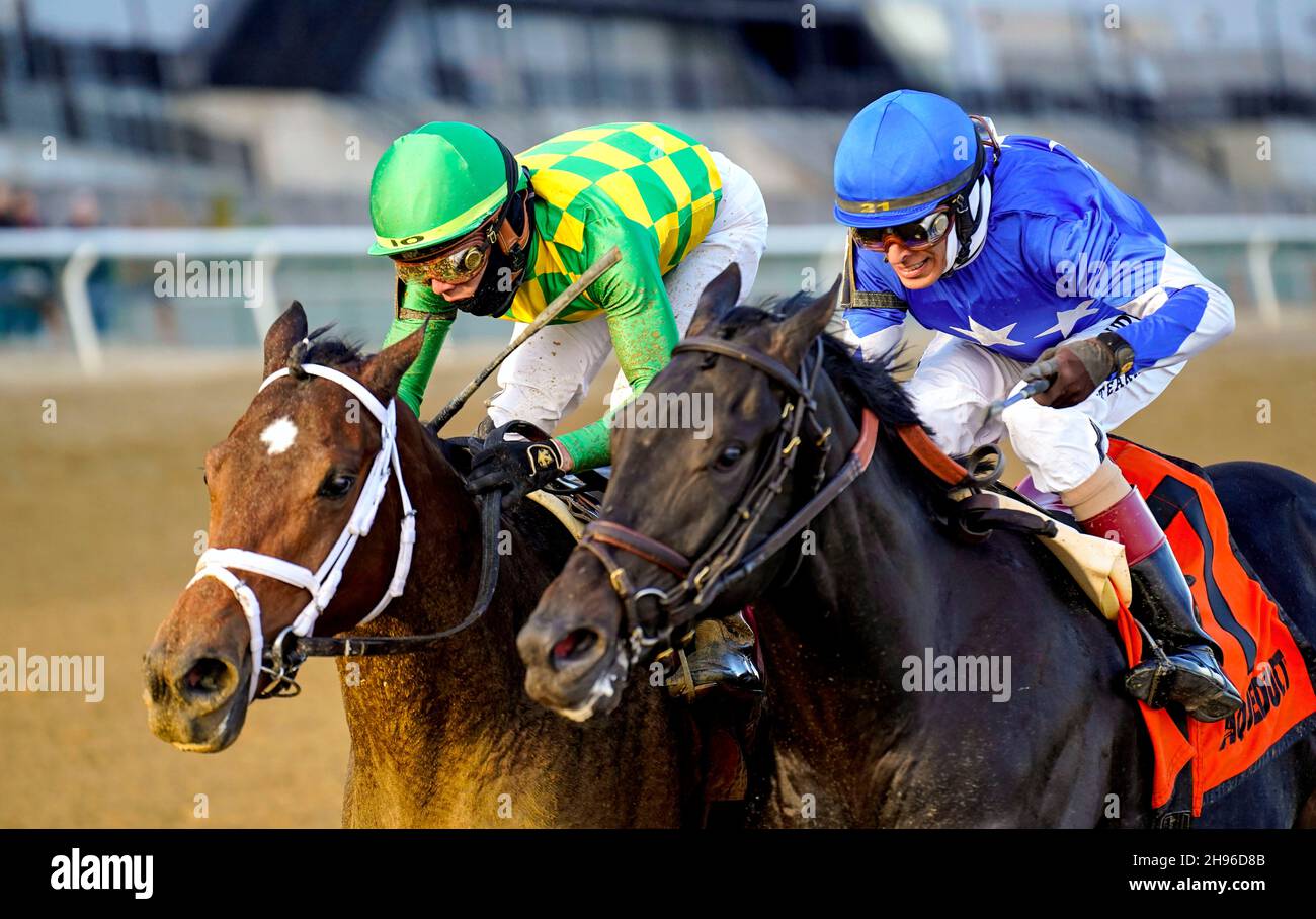 Zandon horse hi-res stock photography and images - Alamy
