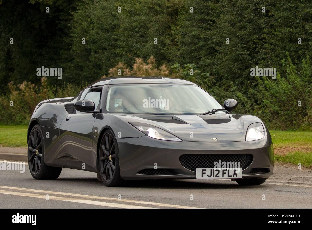 Lotus grey hi-res stock photography and images - Alamy