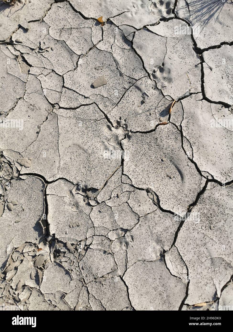 Close-up of cracked soil ground in the dry season. Cracked earth ...