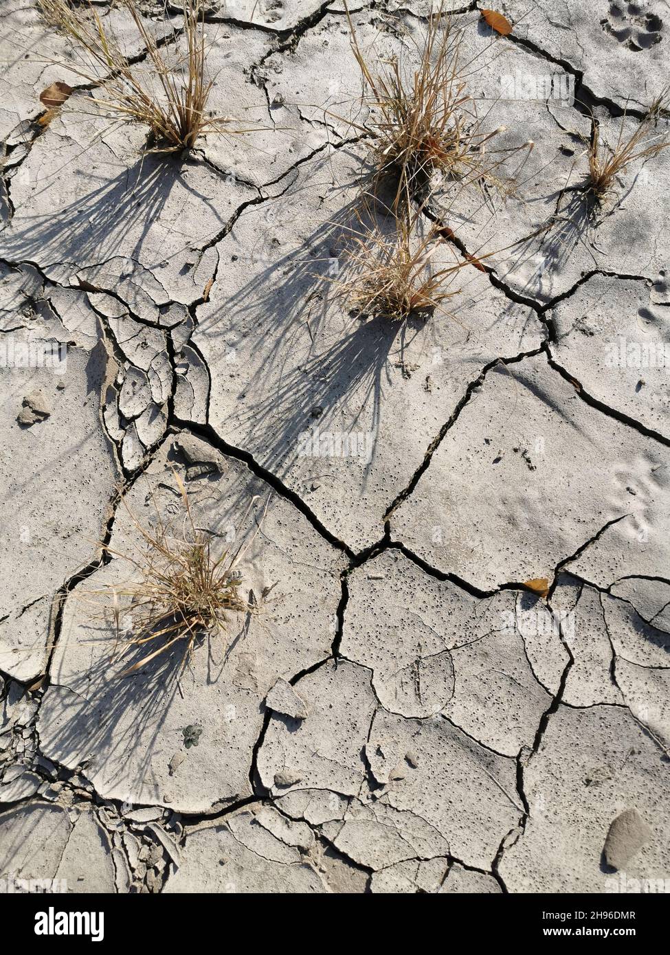 Close-up of cracked soil ground in the dry season. Cracked earth ...