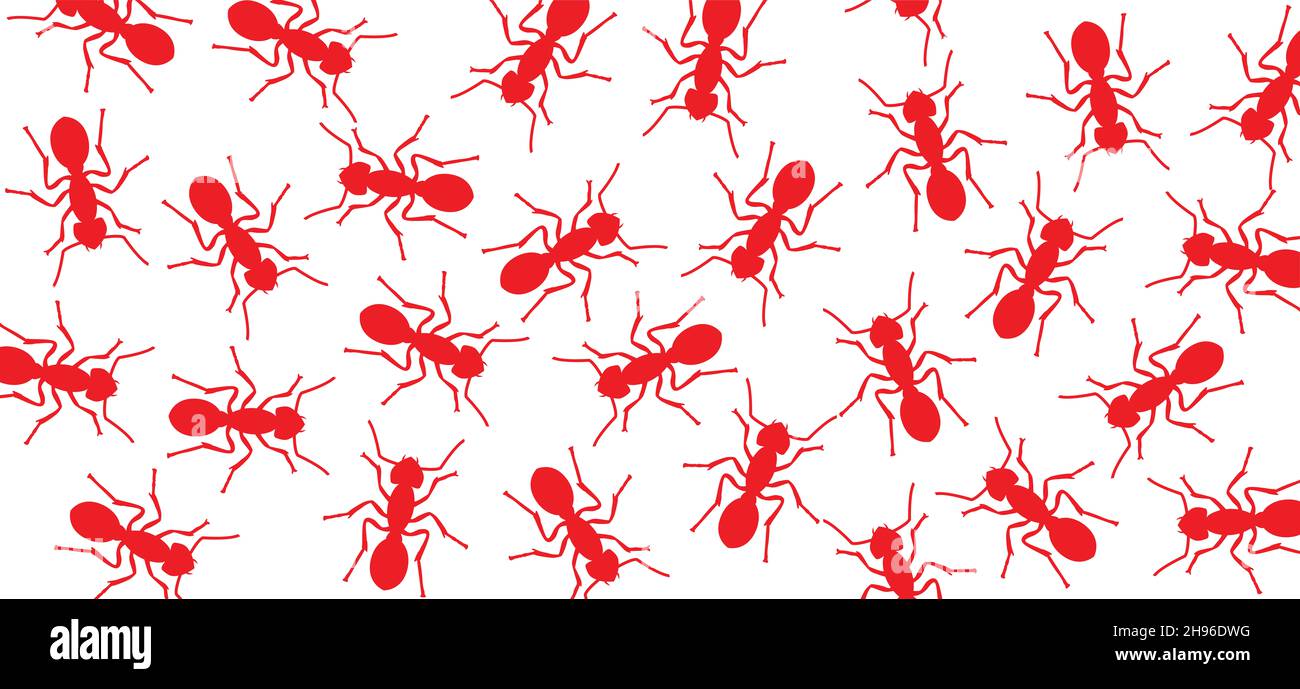Ants vector hi-res stock photography and images - Alamy