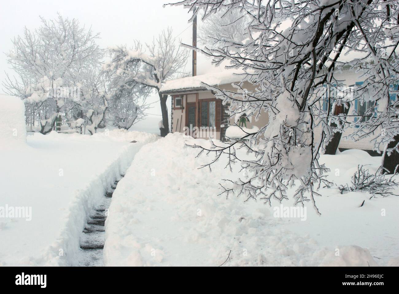 The path is in deep snow. The path leads to the rural house Stock Photo ...