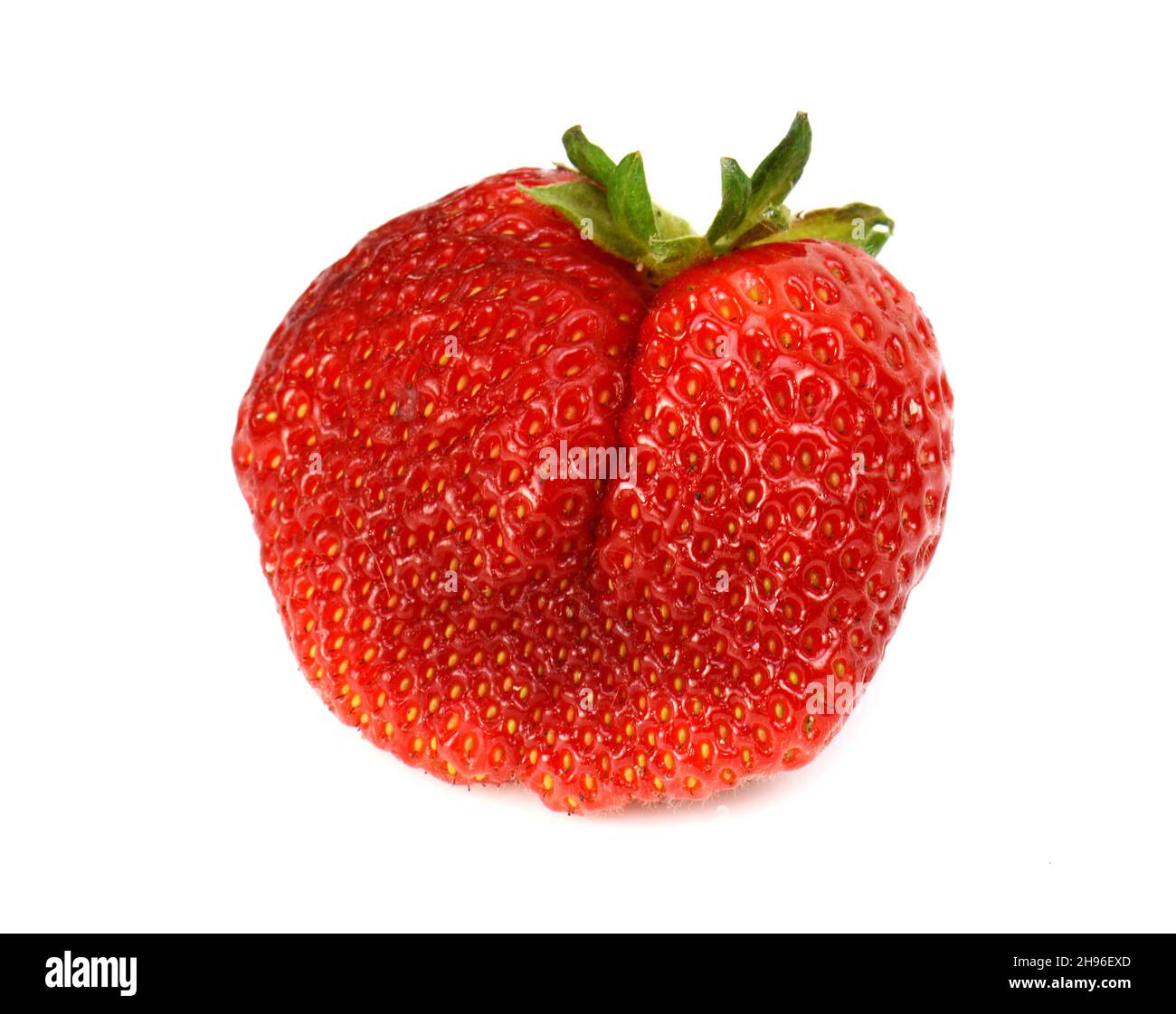Isolated strawberry. Single strawberry fruit isolated on white ...