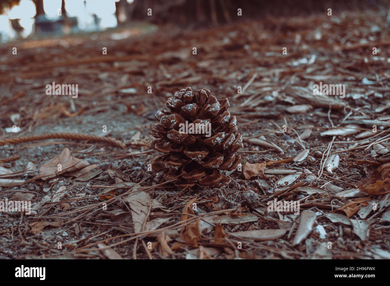 Earth cone hi-res stock photography and images - Alamy