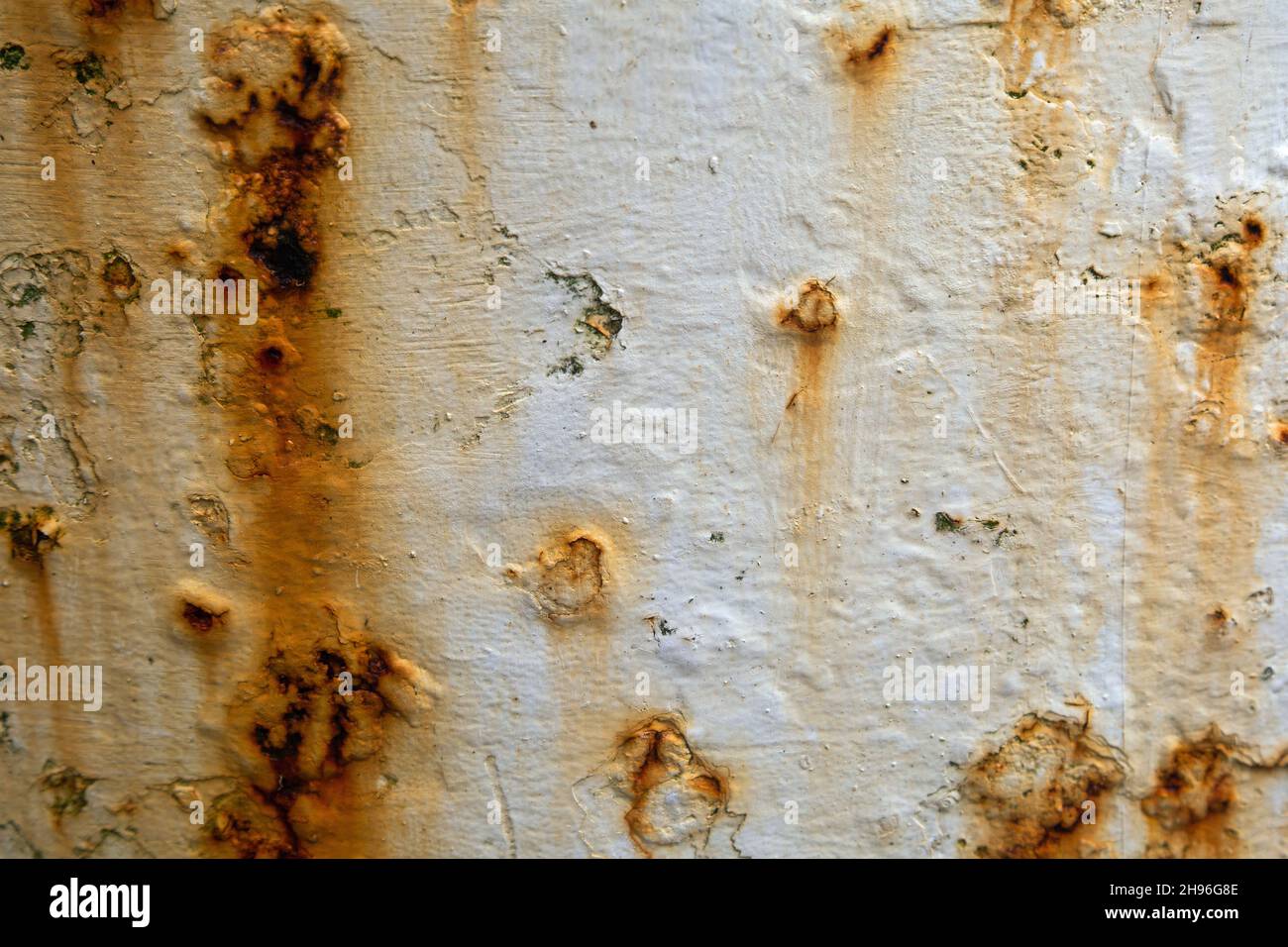 A white painted metal surface with rust spots breaking through Stock ...