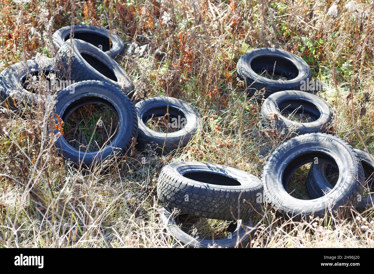 Discarded used tires in a field. Quebec,Canada Stock Photo - Alamy