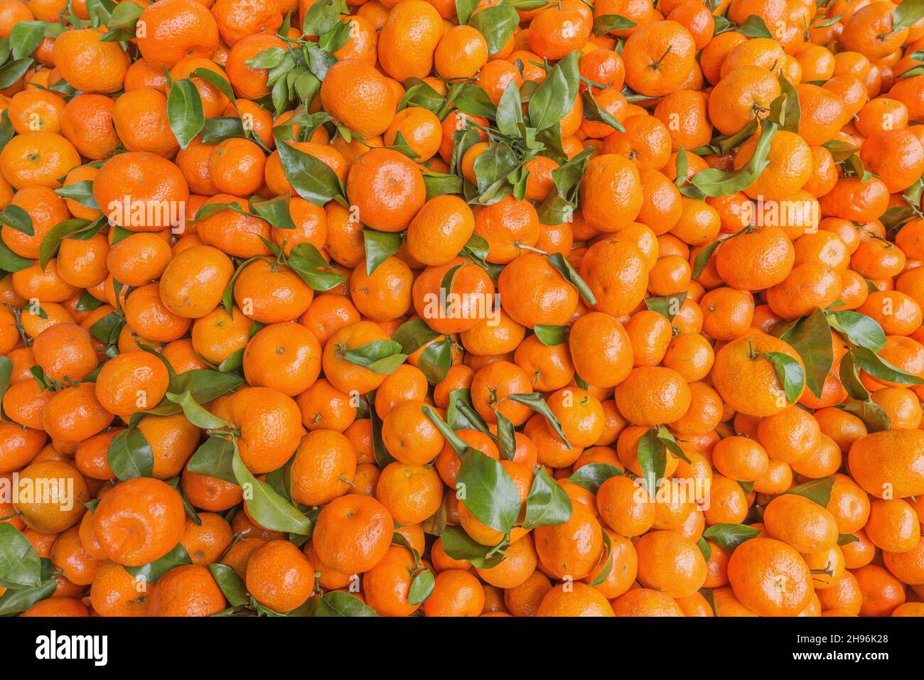 Fresh mandarin orange background on the fruit market showcase Stock ...