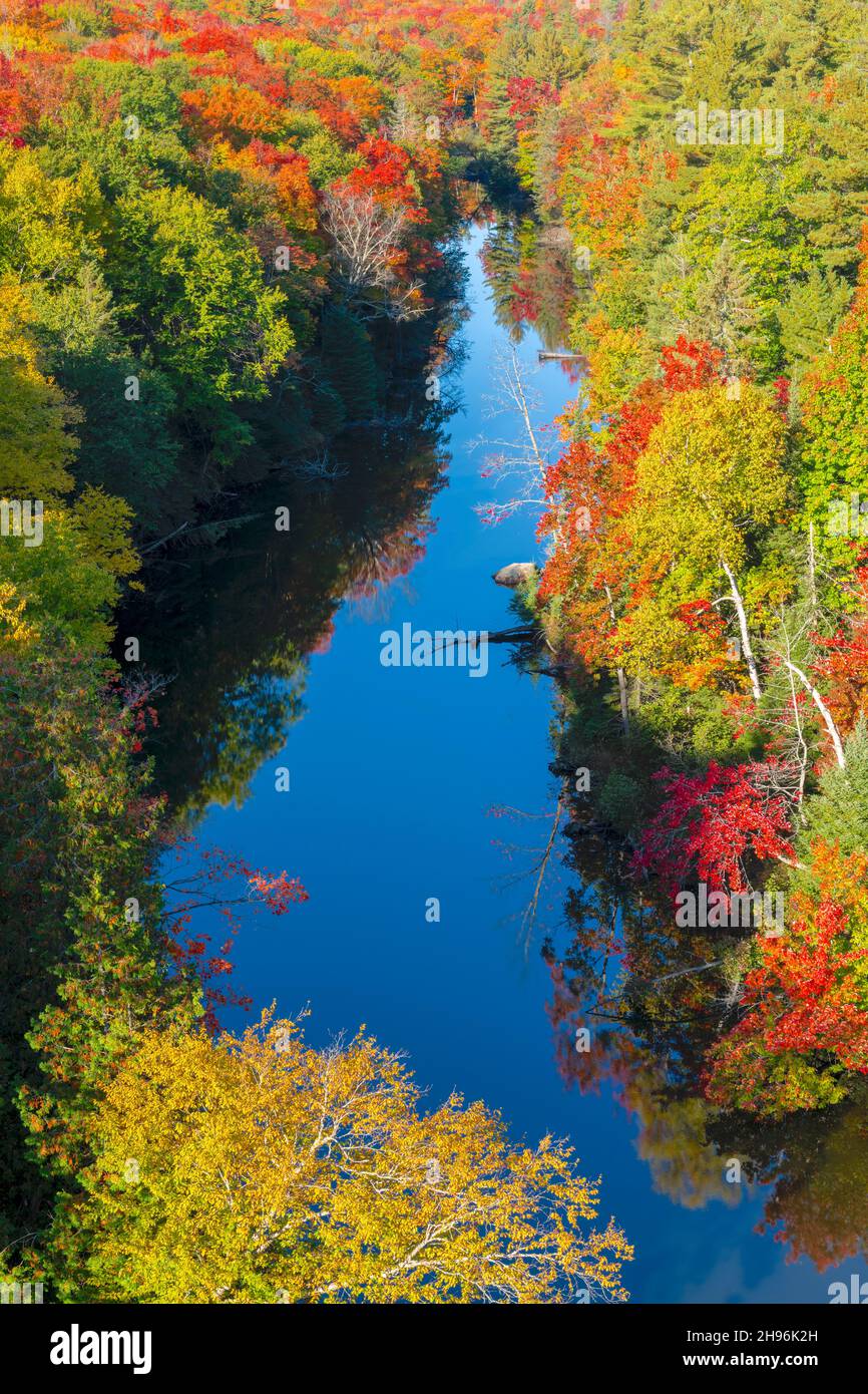 Autumn colors in north woods near Big Bay, Upper Peninsula, late ...