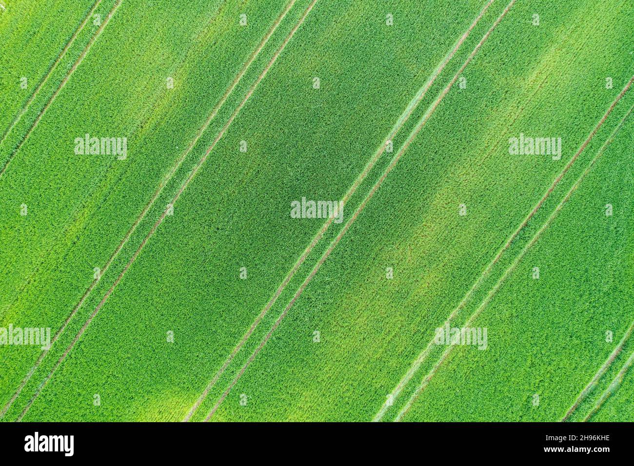 Aerial view rural green field hi-res stock photography and images - Alamy