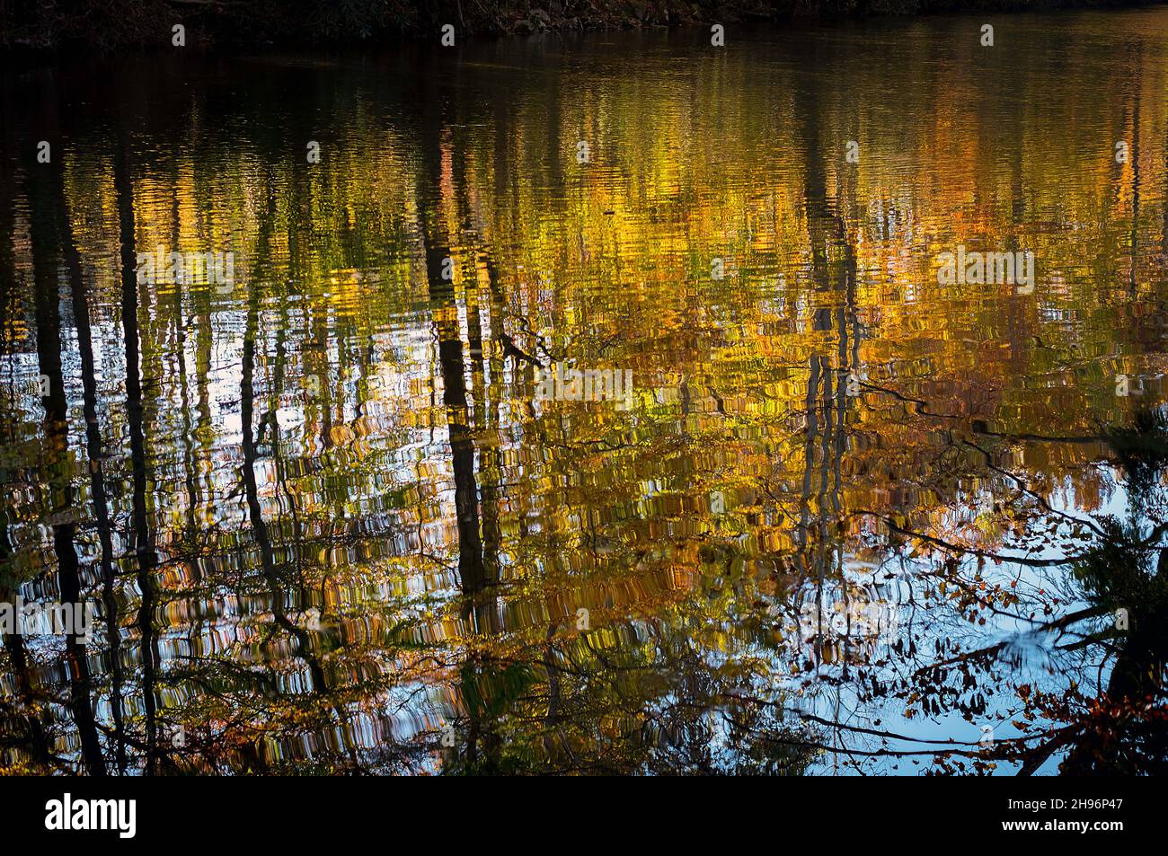 October 30, 2021: Beautiful late afternoon reflections accentuate the ...
