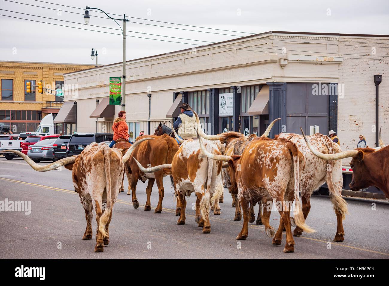 Oklahoma, DEC 4, 2021 - Longhorn walking in the Cowboy Christmas Parade ...