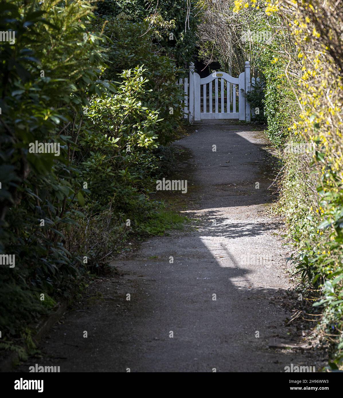 A beautiful path with a garden gate at the end in a forest Stock Photo ...