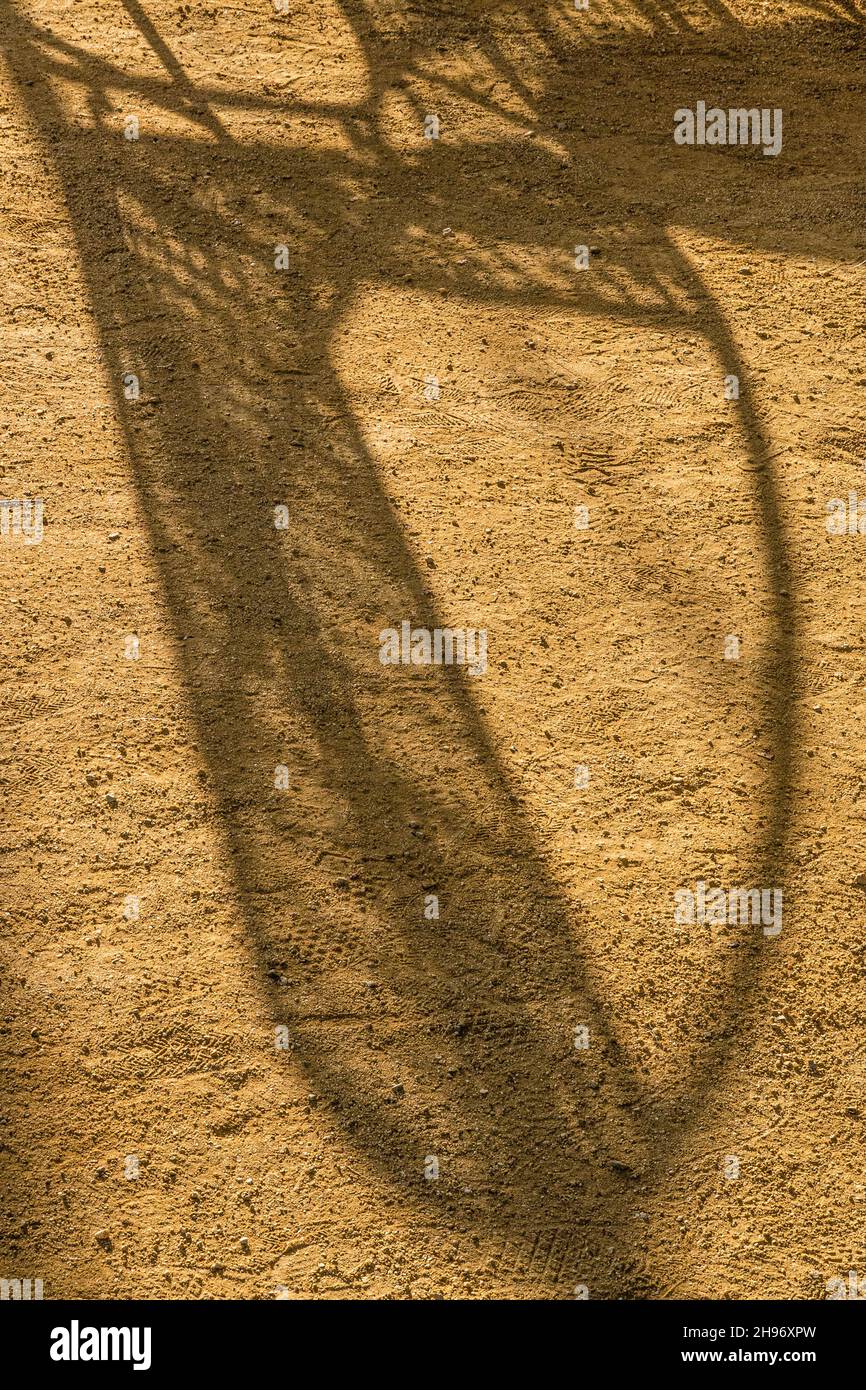 A chair shadow shows the structure of the chair without it being in the ...