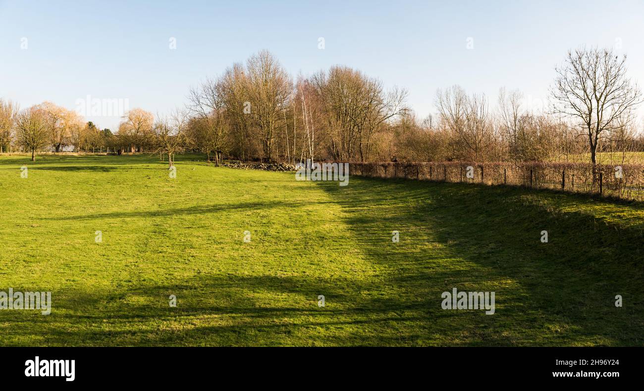View over trees and meadows at the Belgian countryside near Zoutleeuw ...