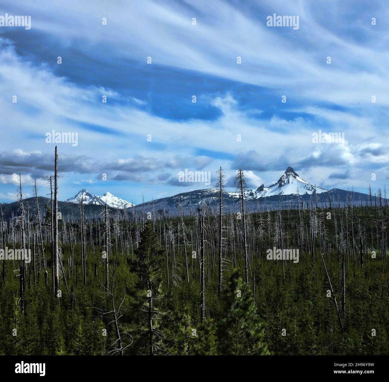 Santiam pass hi-res stock photography and images - Alamy