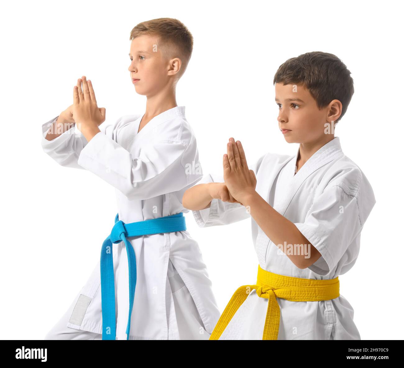 Little boys practicing karate on white background Stock Photo - Alamy