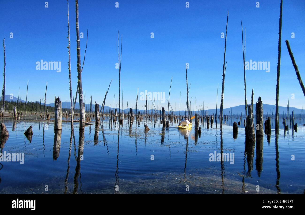 Dead crane hi-res stock photography and images - Alamy