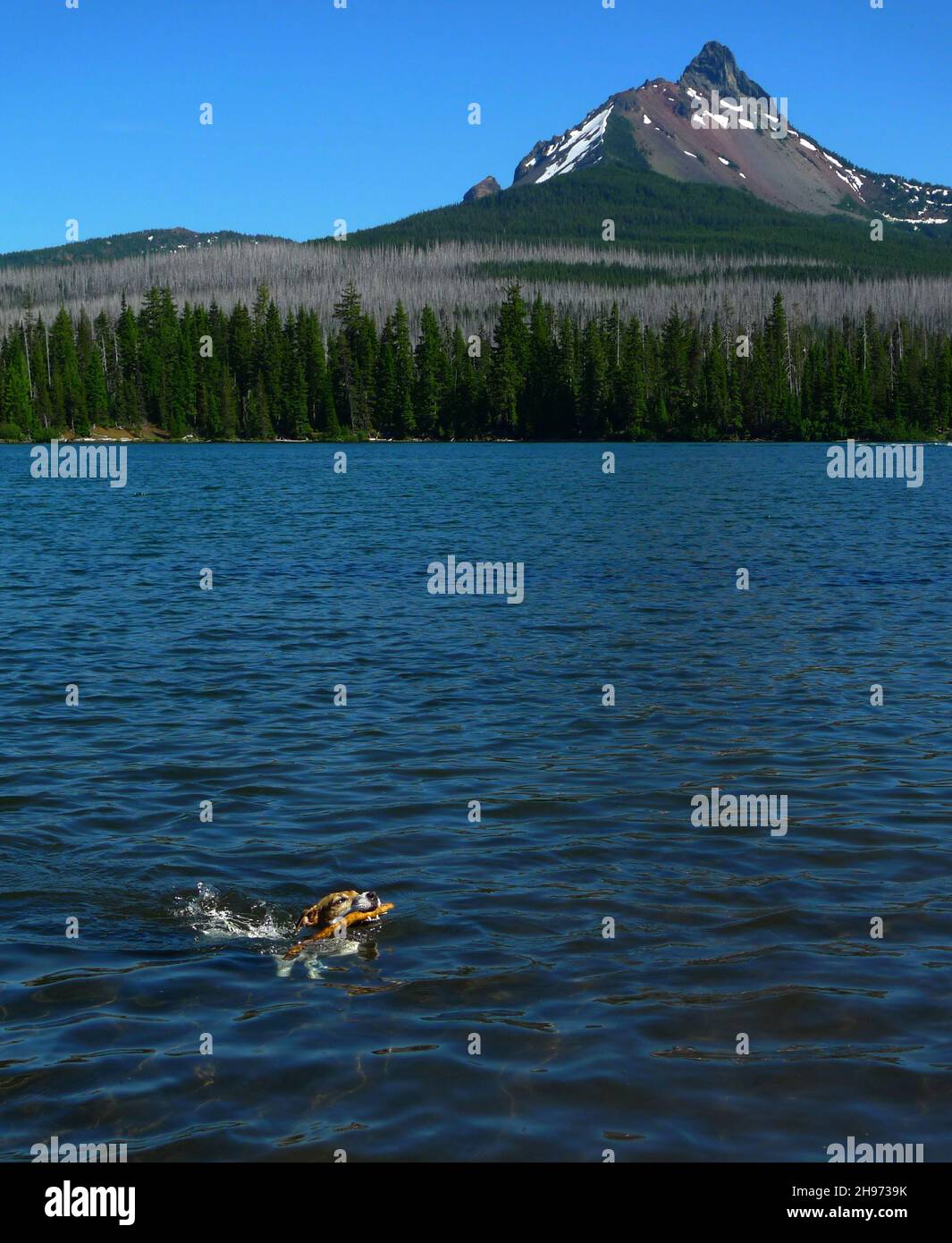 Sswim hi-res stock photography and images - Alamy