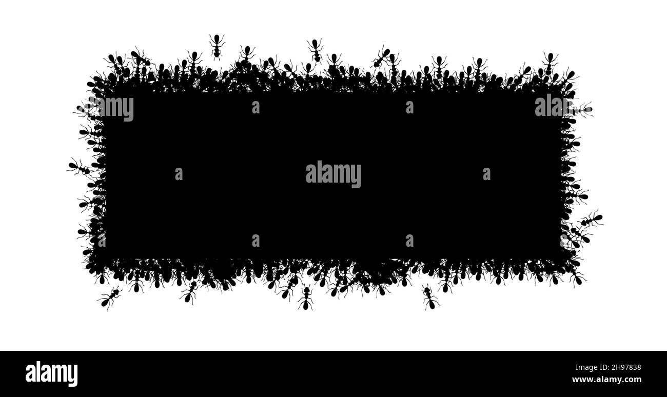 Black ants square border. Ants forming rectangular shape isolated in white background. Vector ...