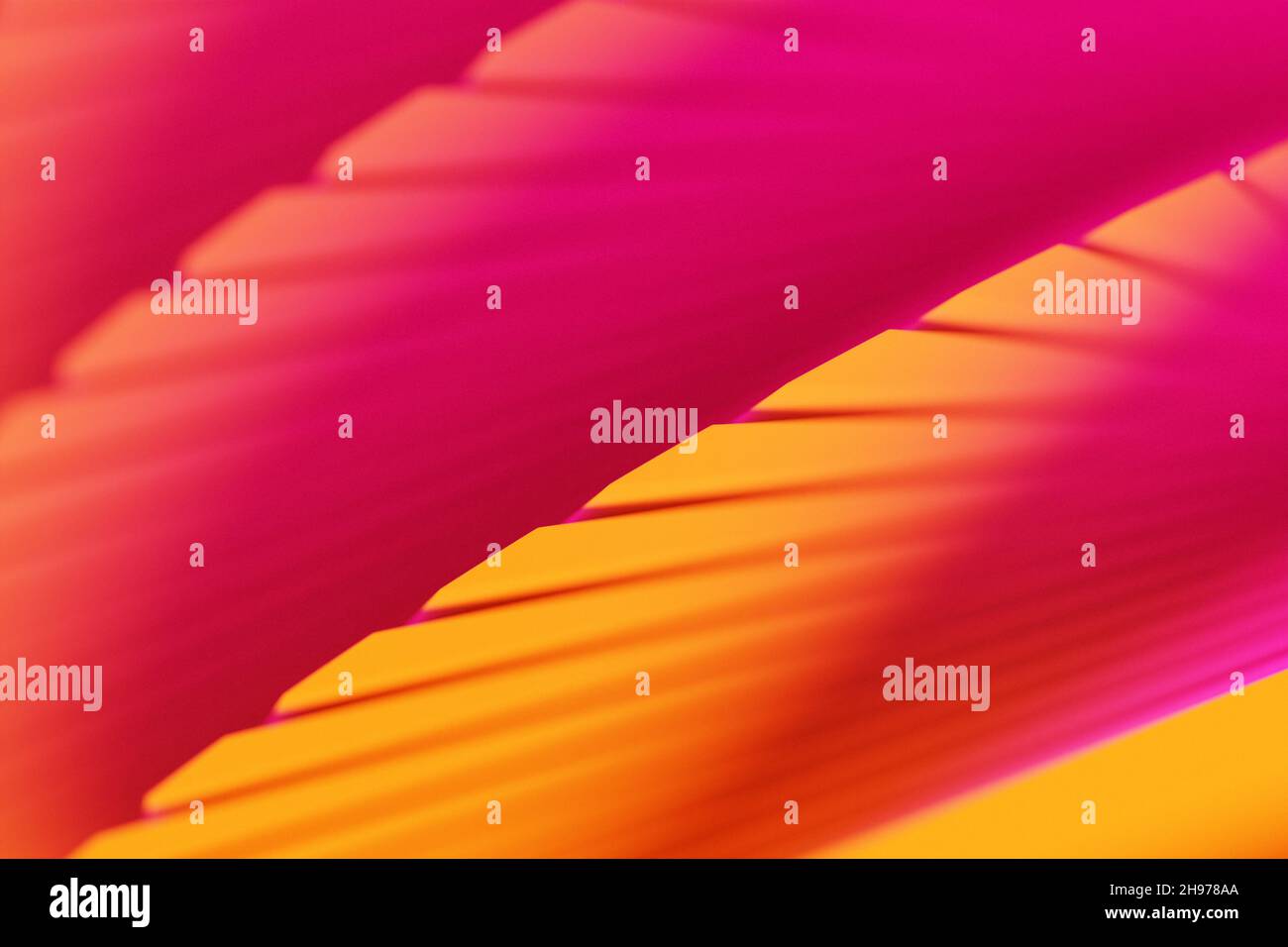 3d Illustration rows of orange and pink line . Geometric background ...