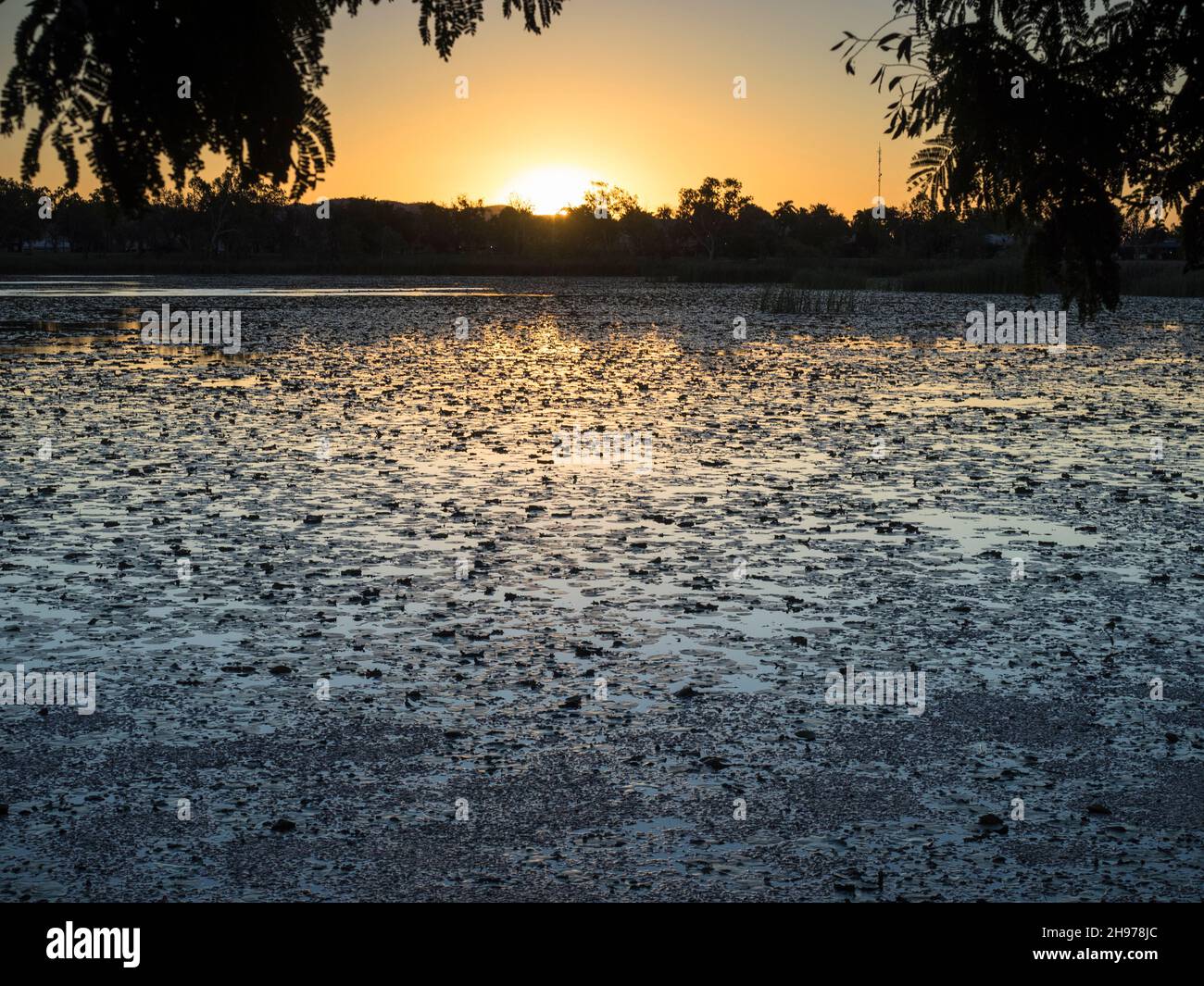 Kimberley Australia Tree Sunset High Resolution Stock Photography and ...