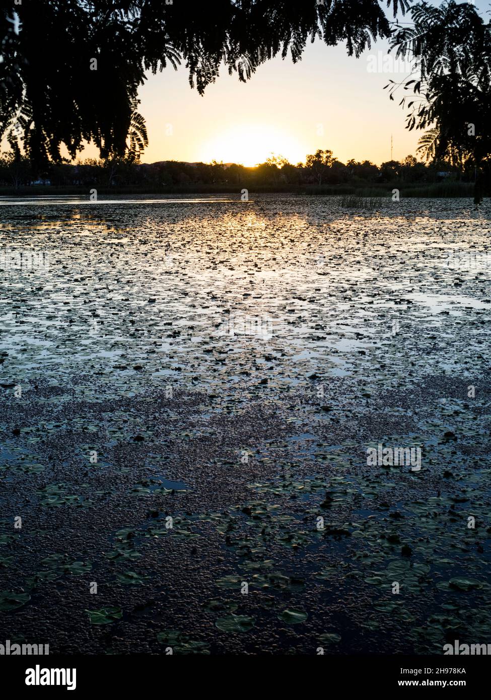 Kimberley australia tree sunset hi-res stock photography and images - Alamy