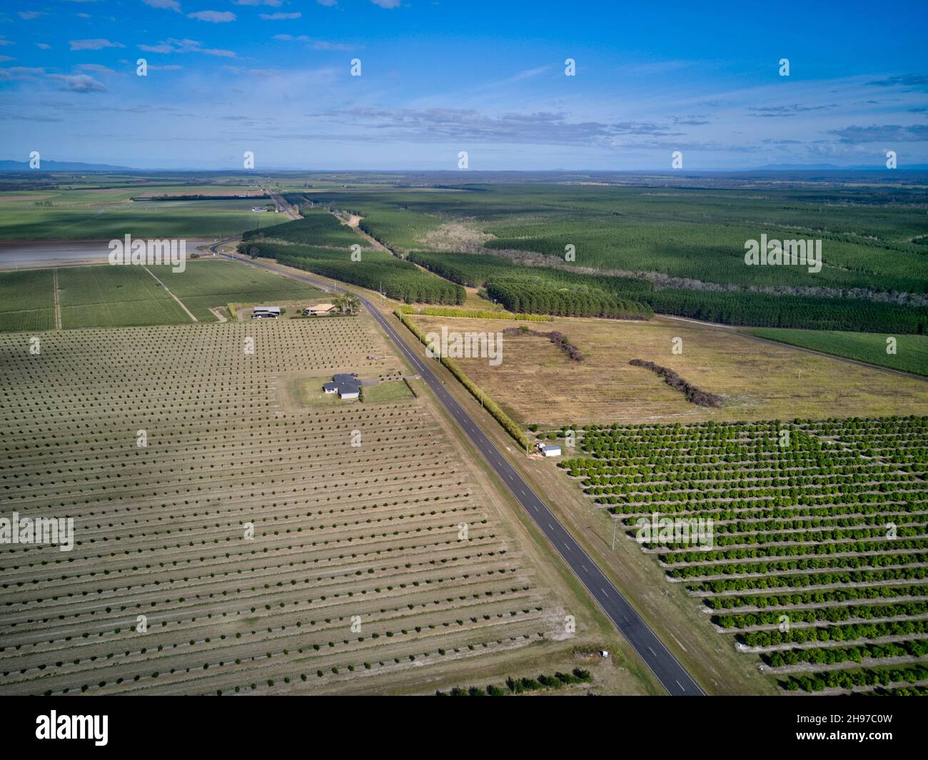 Aerial of young macadamia nut plantations on what was once sugarcane ...