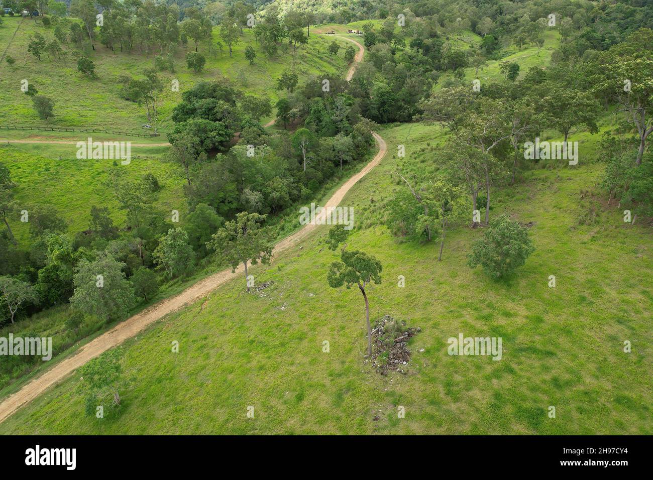 A dirt track running through bushland in country Australia Stock Photo ...