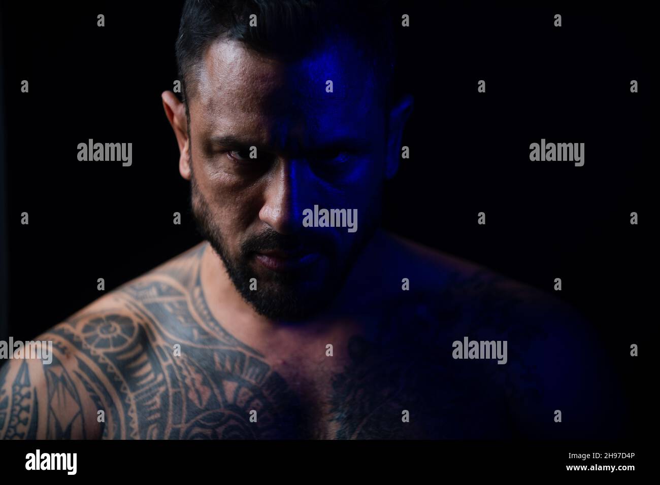 Confident attractive man with serious face. Close up portrait of guy ...