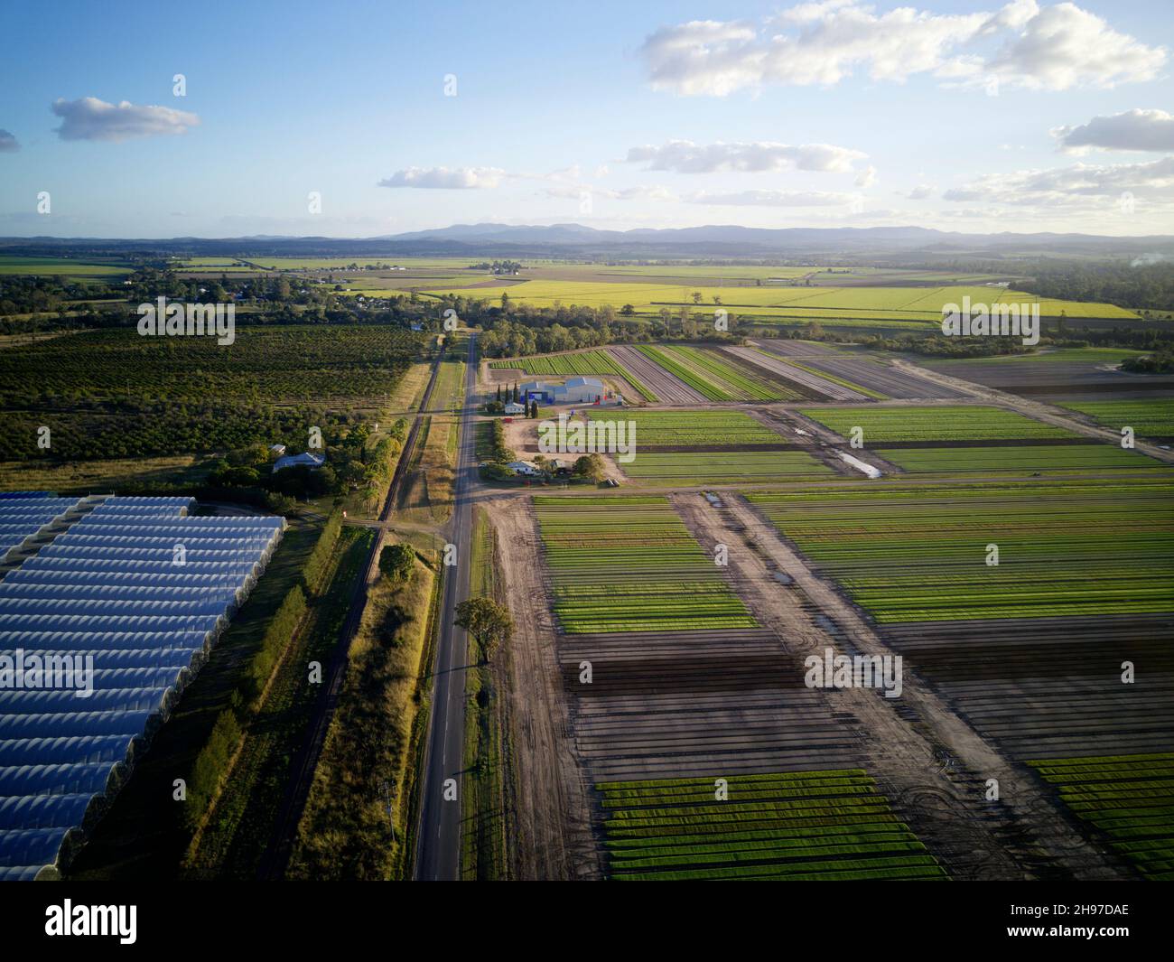 Aerial of "Dicky Bill" salad farm near Wallaville Queensland Australia ...