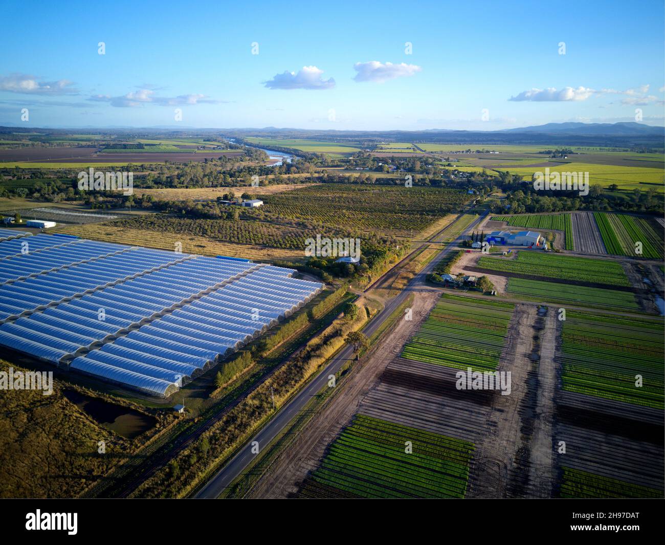 Aerial of "Dicky Bill" salad farm near Wallaville Queensland Australia ...