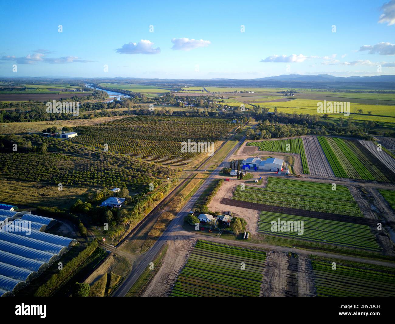 Aerial of "Dicky Bill" salad farm near Wallaville Queensland Australia ...