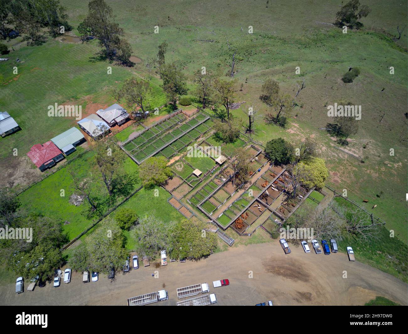 Livestock saleyards australia hi-res stock photography and images - Alamy