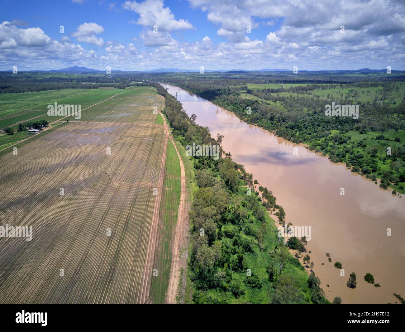 Aerial of crops growing on the banks of Burnett River in flood Dec 2021 ...