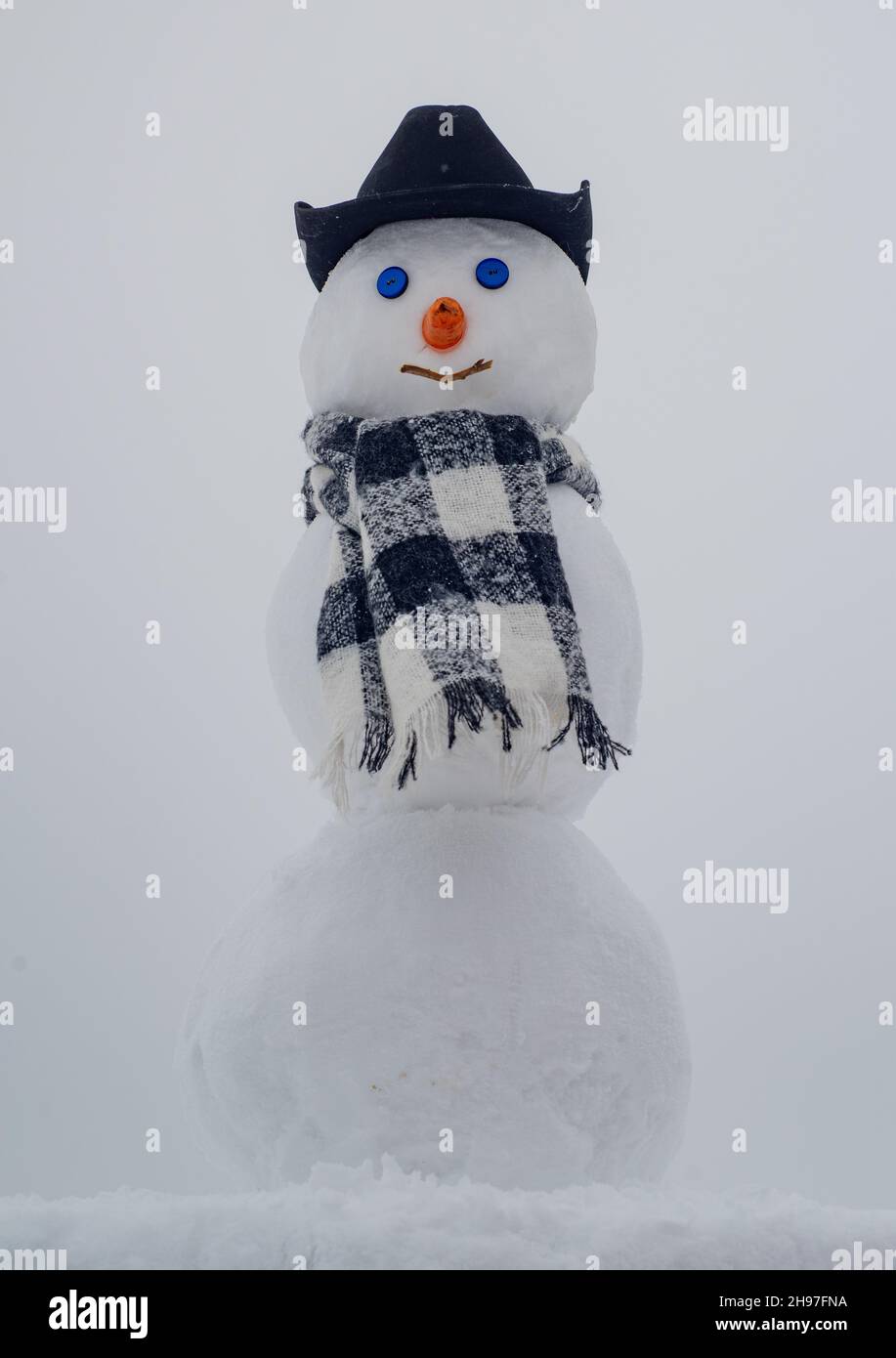 Snow man. Funny snowman on snowy field. The morning before Christmas ...