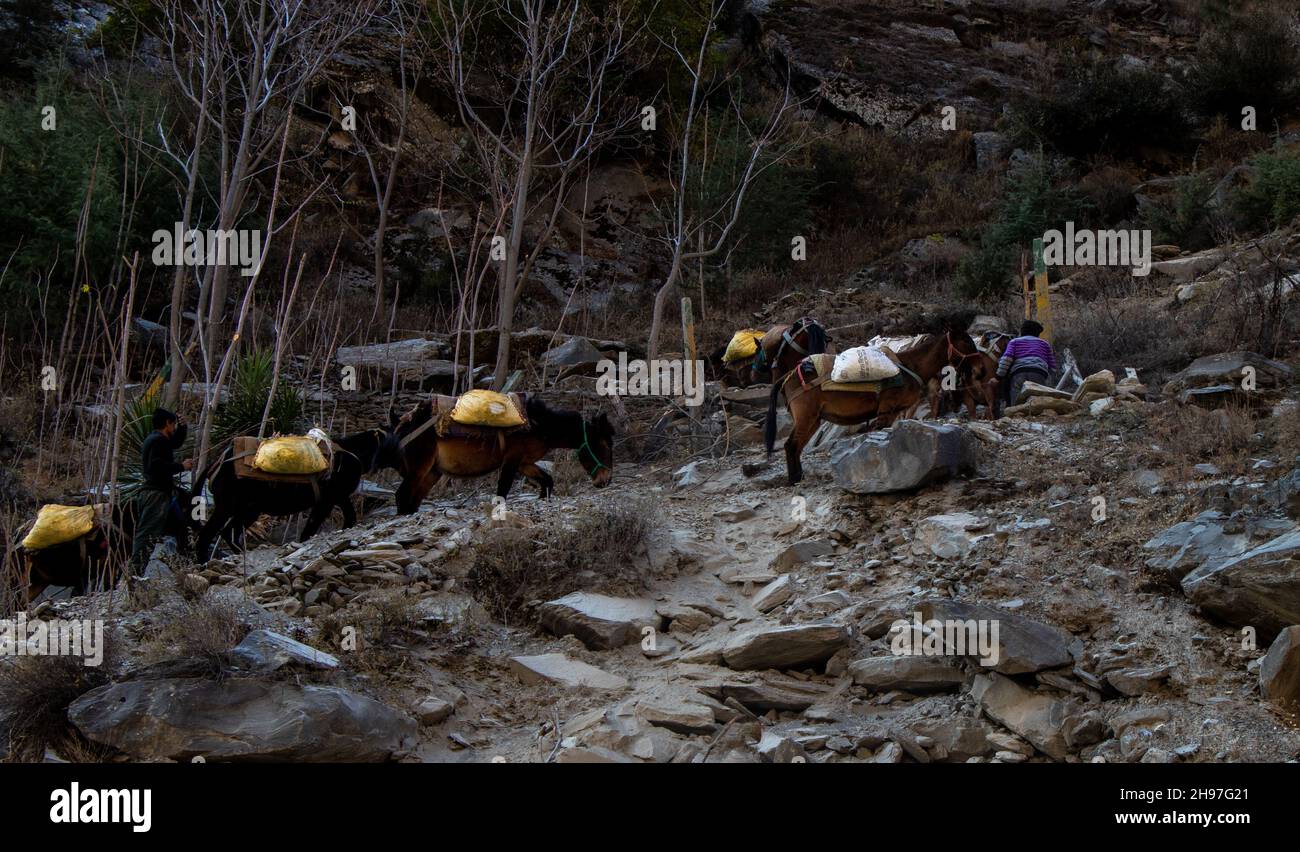 Ravi river hi-res stock photography and images - Alamy
