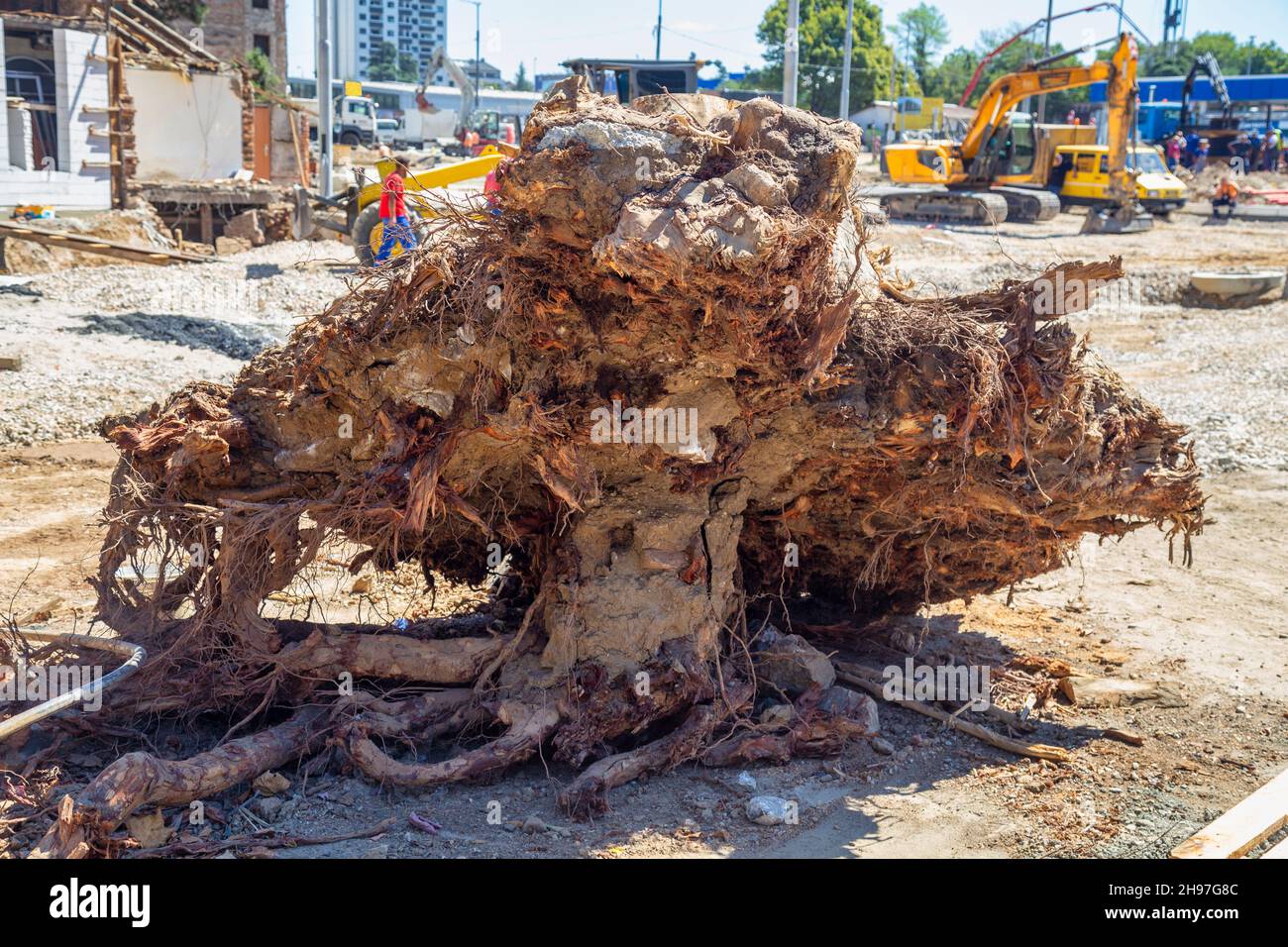 Dig tree stump on new road under construction site with construction ...