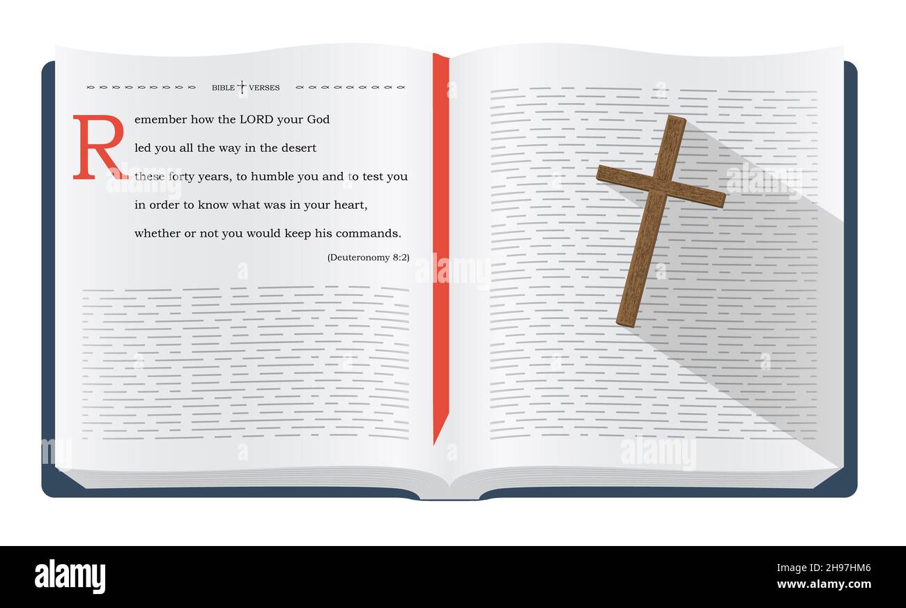 Bible Verses About Christian Character