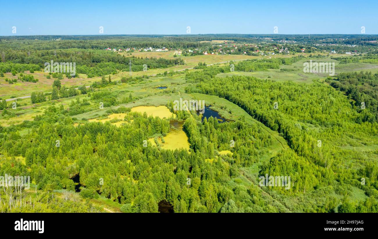 Aerial view of a swamp in a woodland on a summer day Stock Photo - Alamy