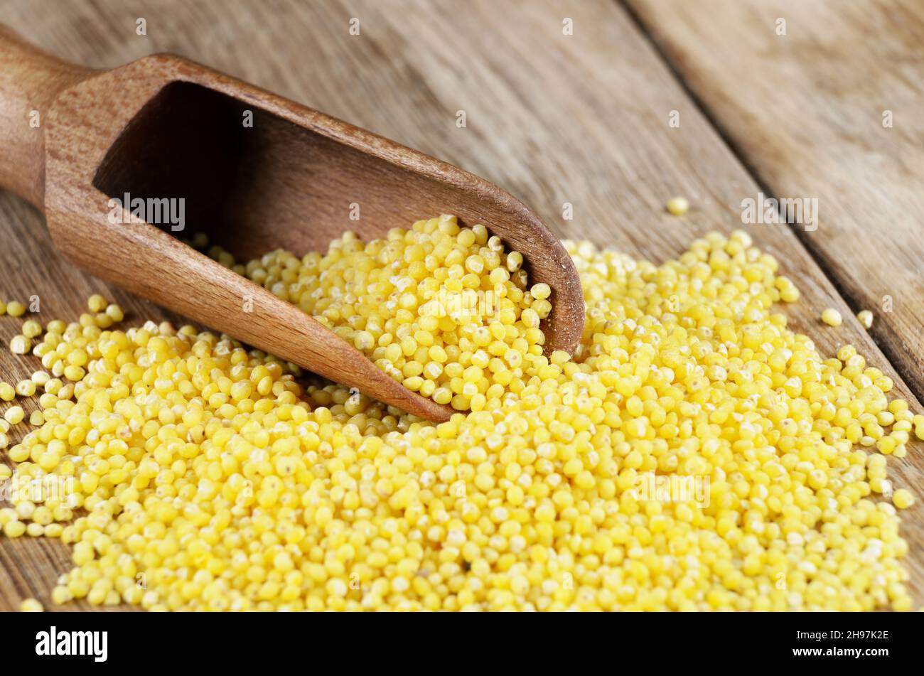 Proso hi-res stock photography and images - Alamy