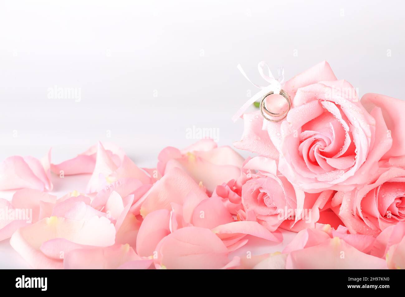 pink roses with wedding rings. wedding romantic background Stock Photo ...