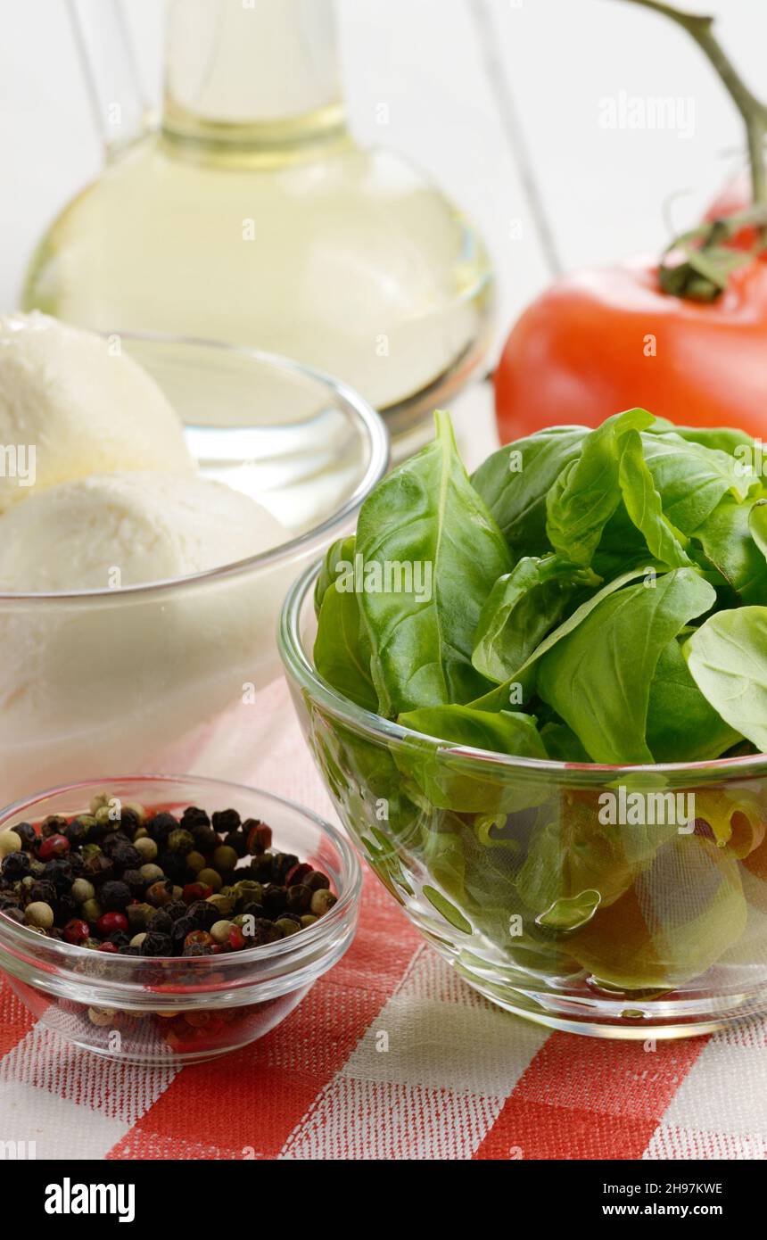 Classic caprese ingredients - mozzarella cheese tomatoes and basil ...