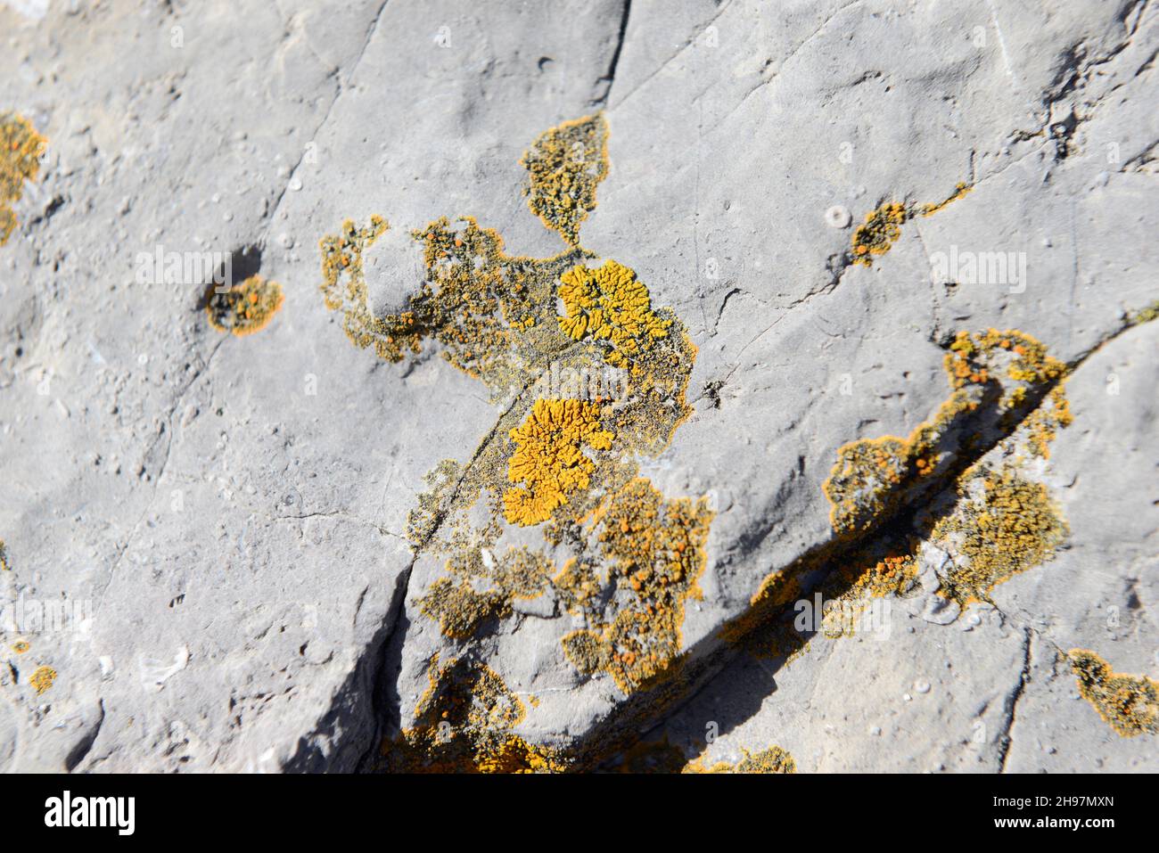 Carboniferous limestone rocks at Friars Point on Barry Island, Wales ...
