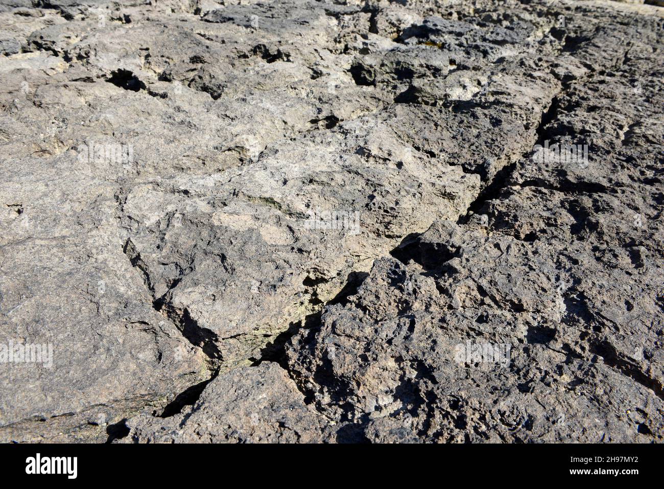Carboniferous limestone rocks at Friars Point on Barry Island, Wales ...
