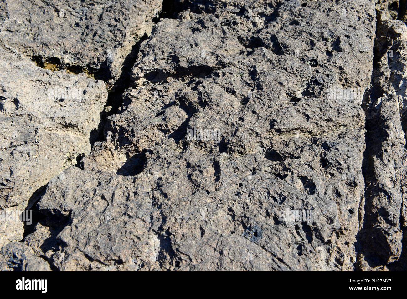 Carboniferous limestone rocks at Friars Point on Barry Island, Wales ...