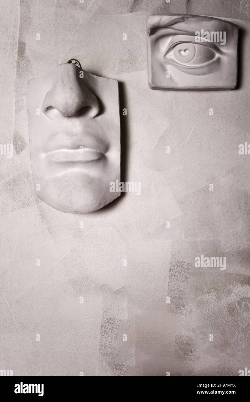 Body parts nose illustration human hi-res stock photography and images ...