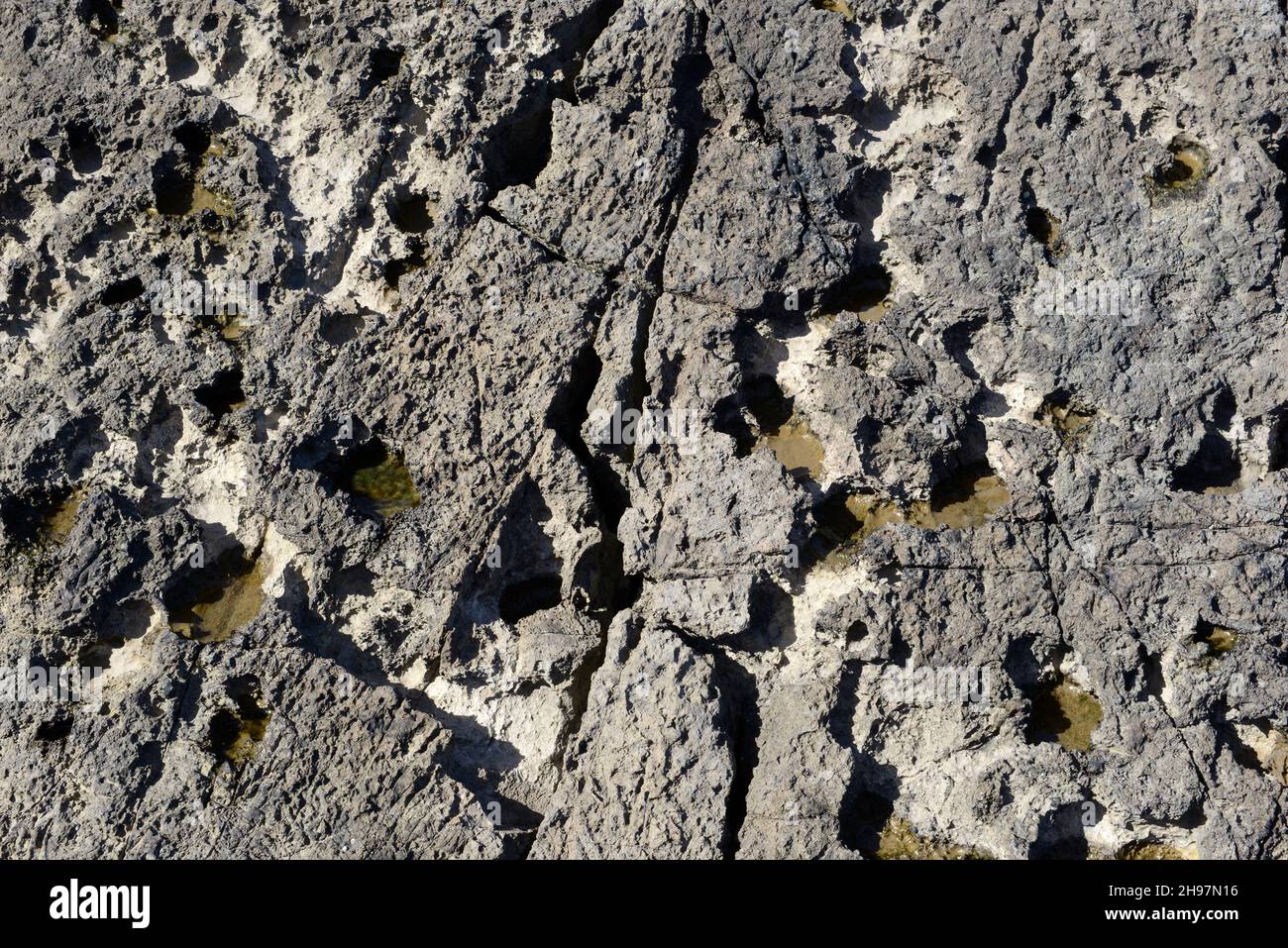 Carboniferous limestone rocks at Friars Point on Barry Island, Wales ...